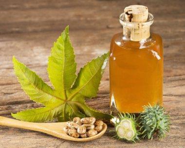 Unlocking the Secrets of Castor Oil Extraction: Step-by-Step Process ...