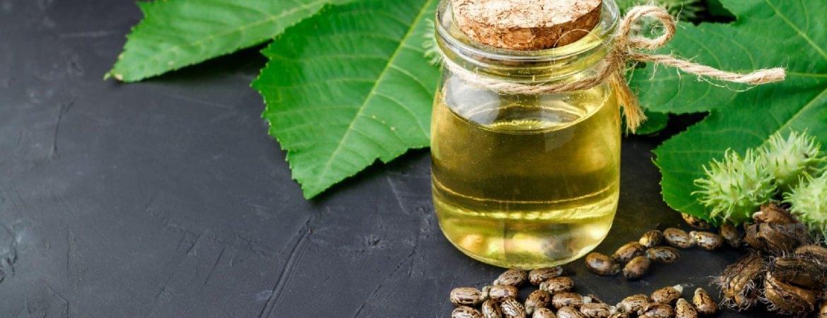 Unlocking the Secrets of Castor Oil Extraction: Step-by-Step Process ...